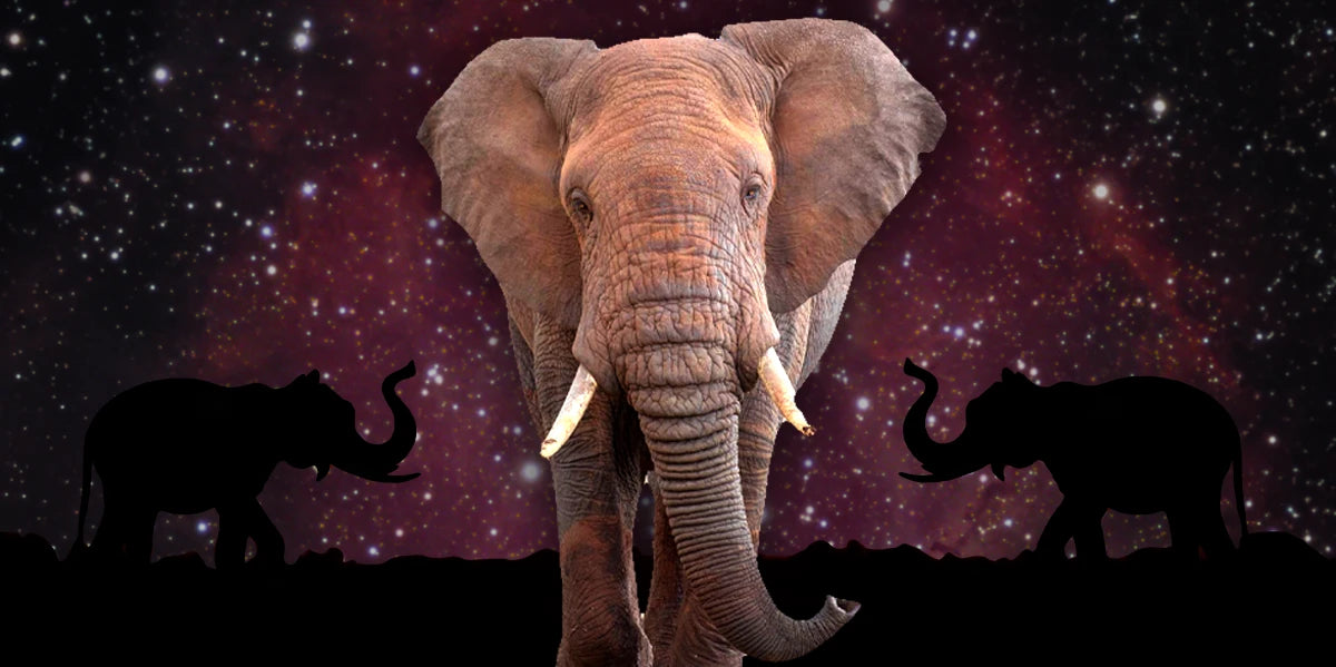 How Much Can An Ele phant – The Crystal and Wellness Warehouse
