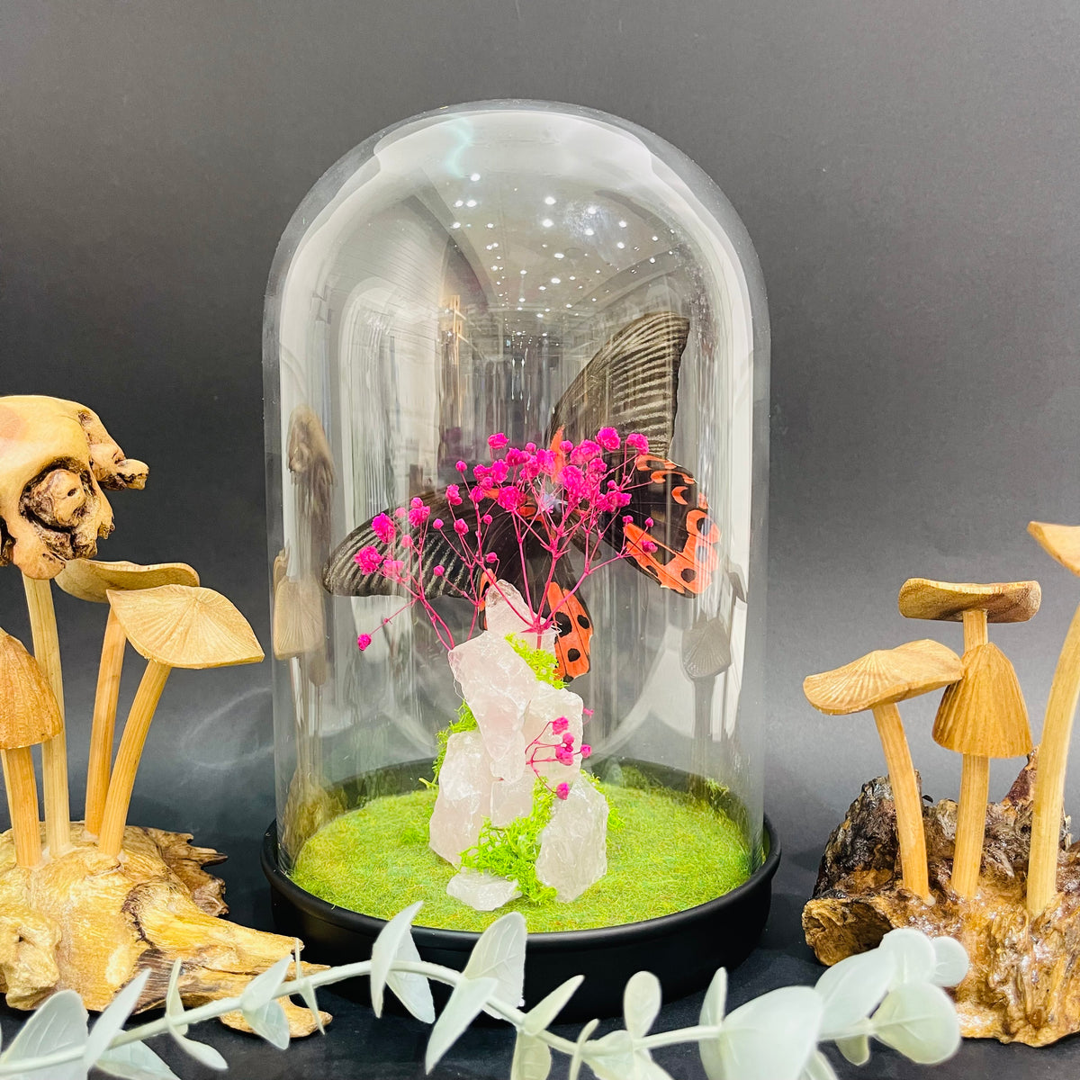 Curio and Oddities – The Crystal and Wellness Warehouse