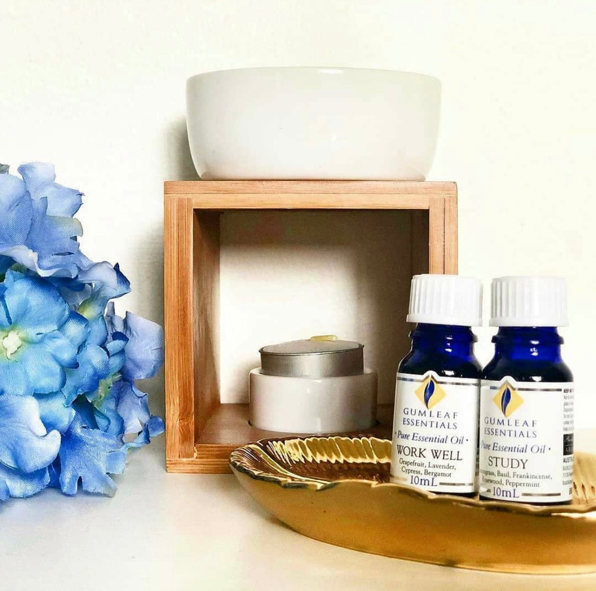 Essential Oils & Diffusers | The Crystal & Wellness Warehouse – The ...