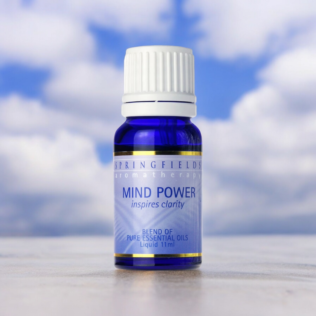 Mind Power Essential Oil Blend 11ml – The Crystal and Wellness Warehouse